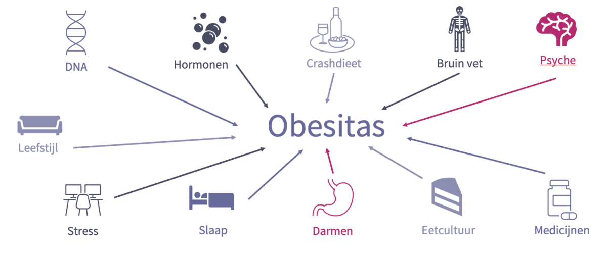 Overgewicht en obesitas - WeightWorks